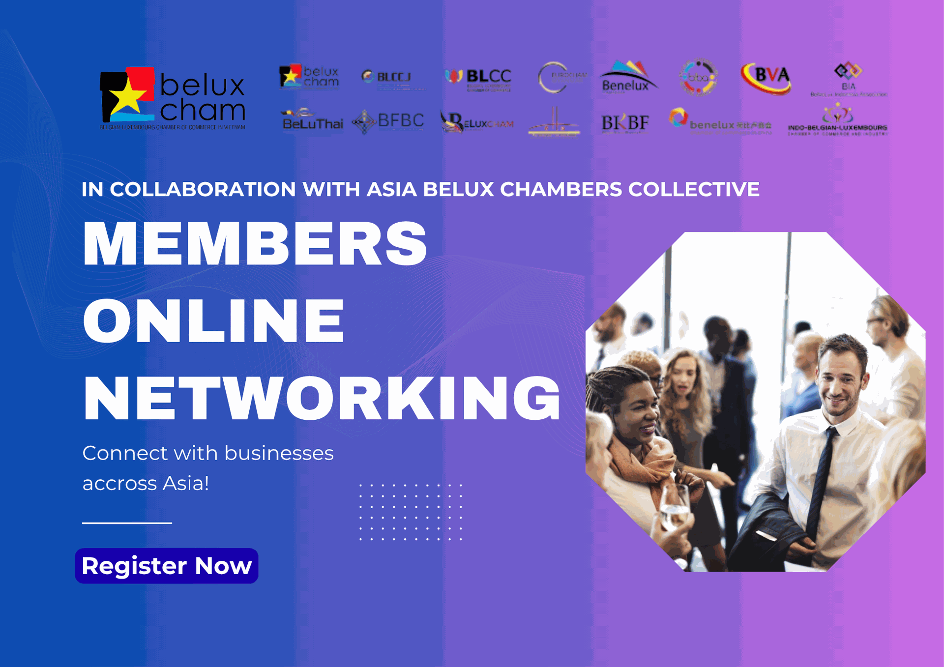 BeLux Asia Collective Online Networking